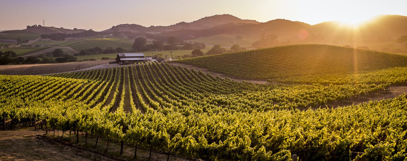 Romantic Getaways – Wine Country Cycle